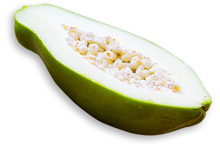 Royal Star Papaya - Super Starr International